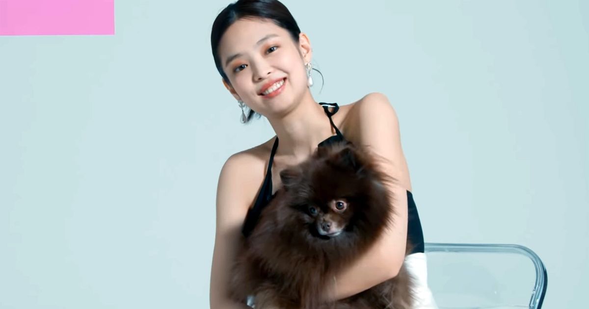 BLACKPINK Jennie's Way Of Easing Kuma's Sadness Will Melt Your Heart ...