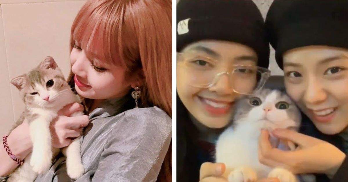 6 Times BLACKPINK's Lisa And Her Cat Were Too Cute—In Honor Of Leo's ...