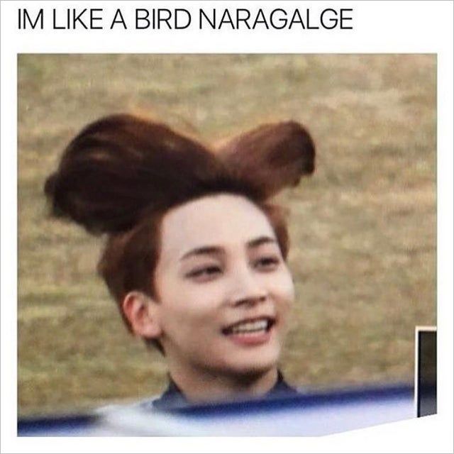 Just 20+ Hilarious K-Pop Memes To Make You Crack A Smile During ...