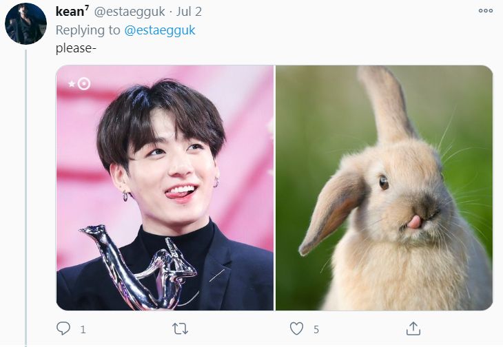"Jungkook As Bunnies" Is The BTS Meme We All Need