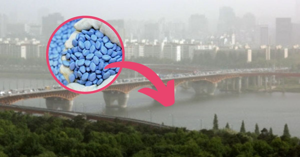 Researchers Discover High Amounts of Viagra In Han River ... People ...
