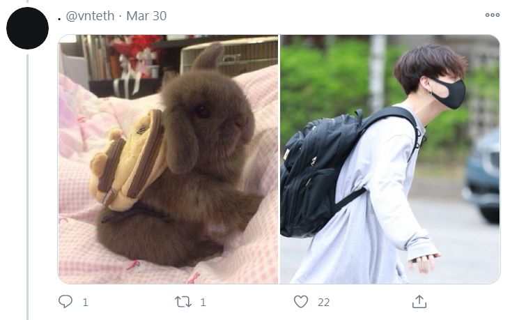 "Jungkook As Bunnies" Is The BTS Meme We All Need