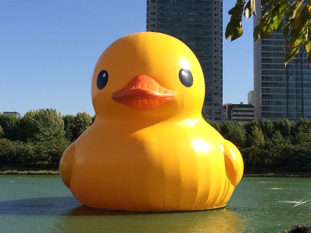 Rubber Duck Project craze in Seoul