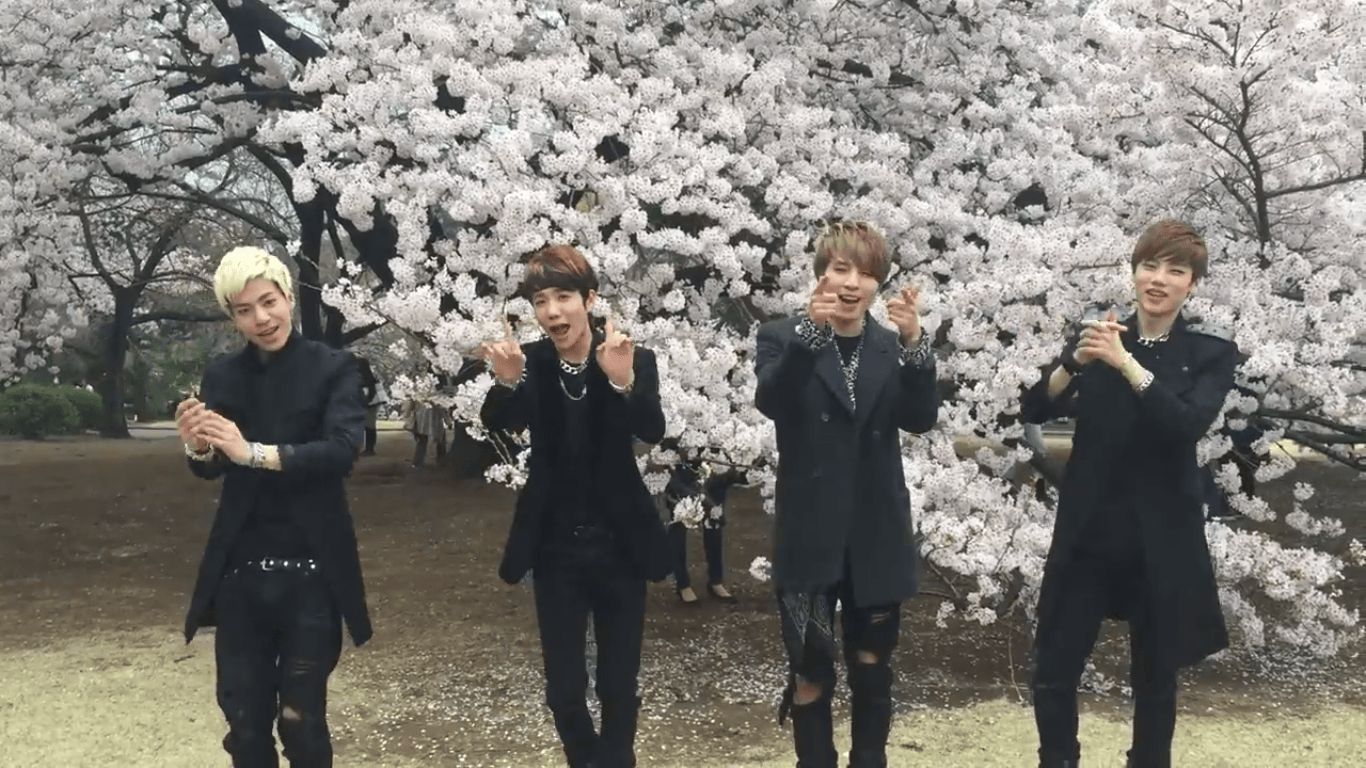 HIGH4 celebrates their 1st anniversary with cherry blossoms