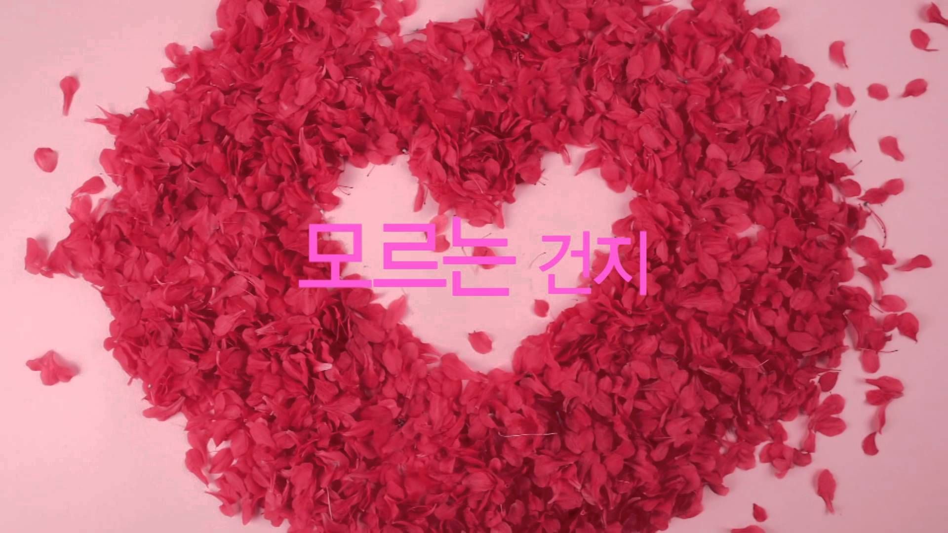 Han Hee Jun Undergoes A Qna With Girls Generations Tiffany In Sweet