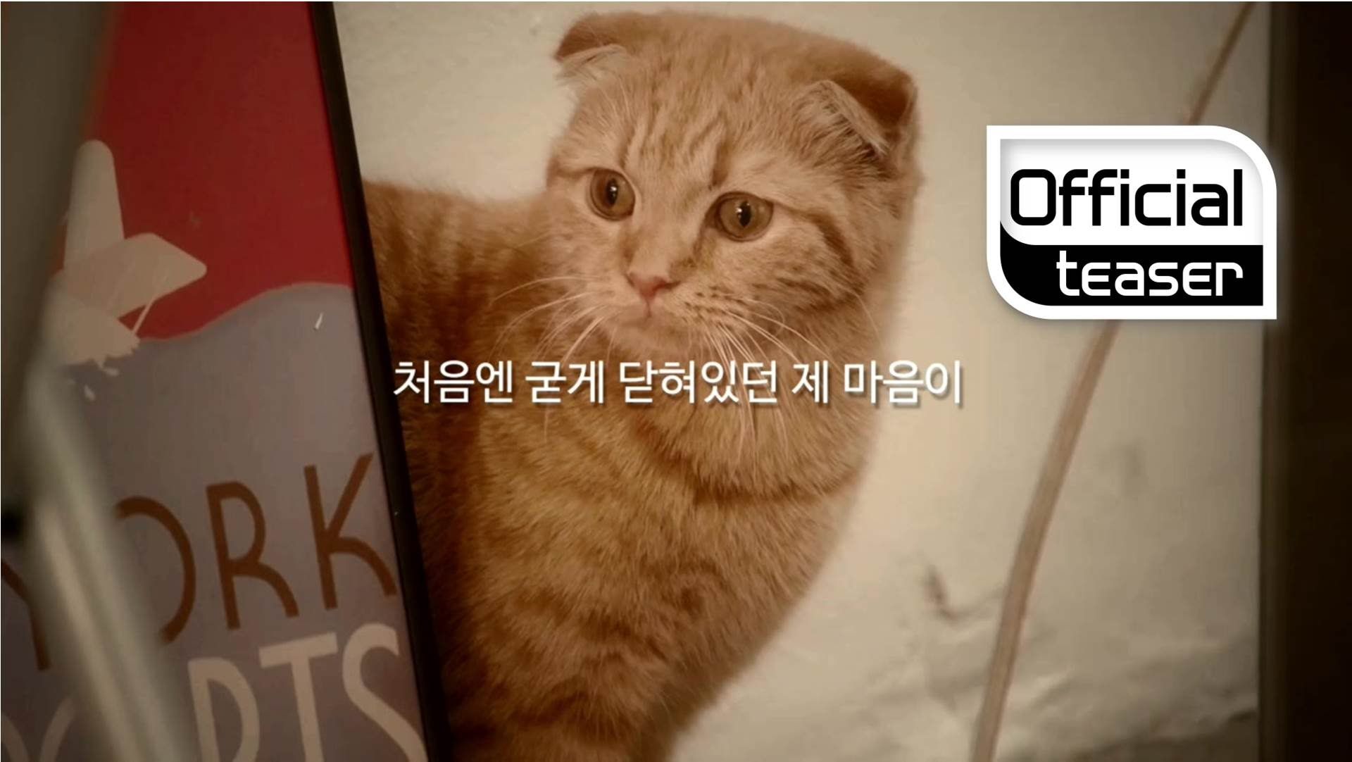 Parang Jamong serenades a cat in MV teaser for "I Love You"