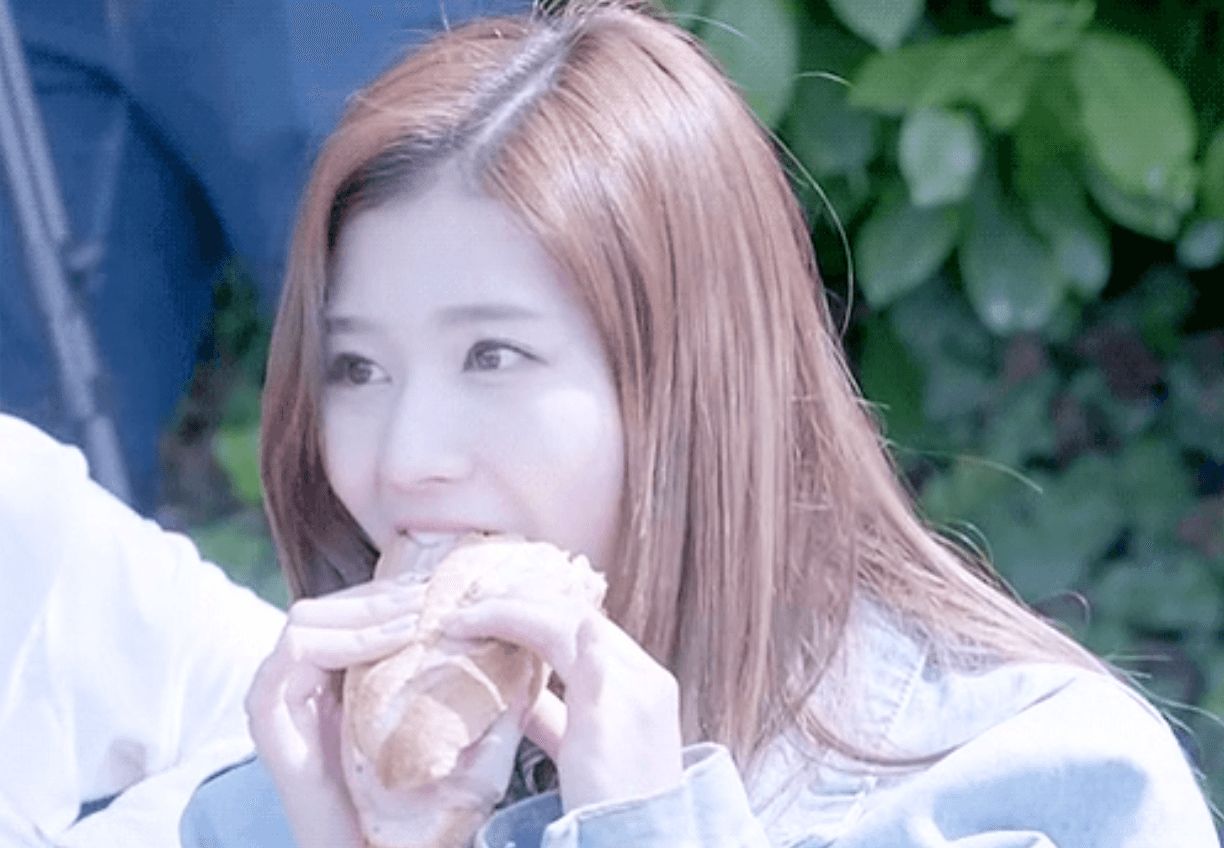 These TWICE Members Resemble These Cute Animals When They're Eating ...