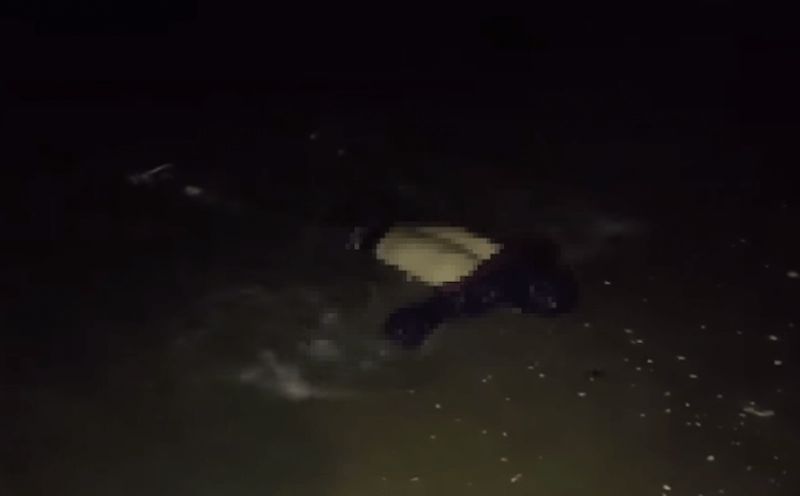 Korean Pro Gamer Accidentally Finds Dead Body During Livestream - Koreaboo