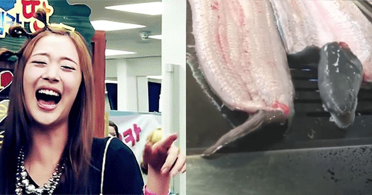 Sulli Mocks Everyone Angered By Her Dead Eel Controversy - Koreaboo