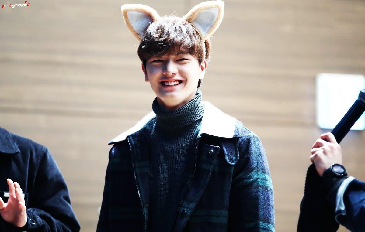 If Male Idols Were Actually Foxes, Here's What Kind Of Fox They'd Be ...