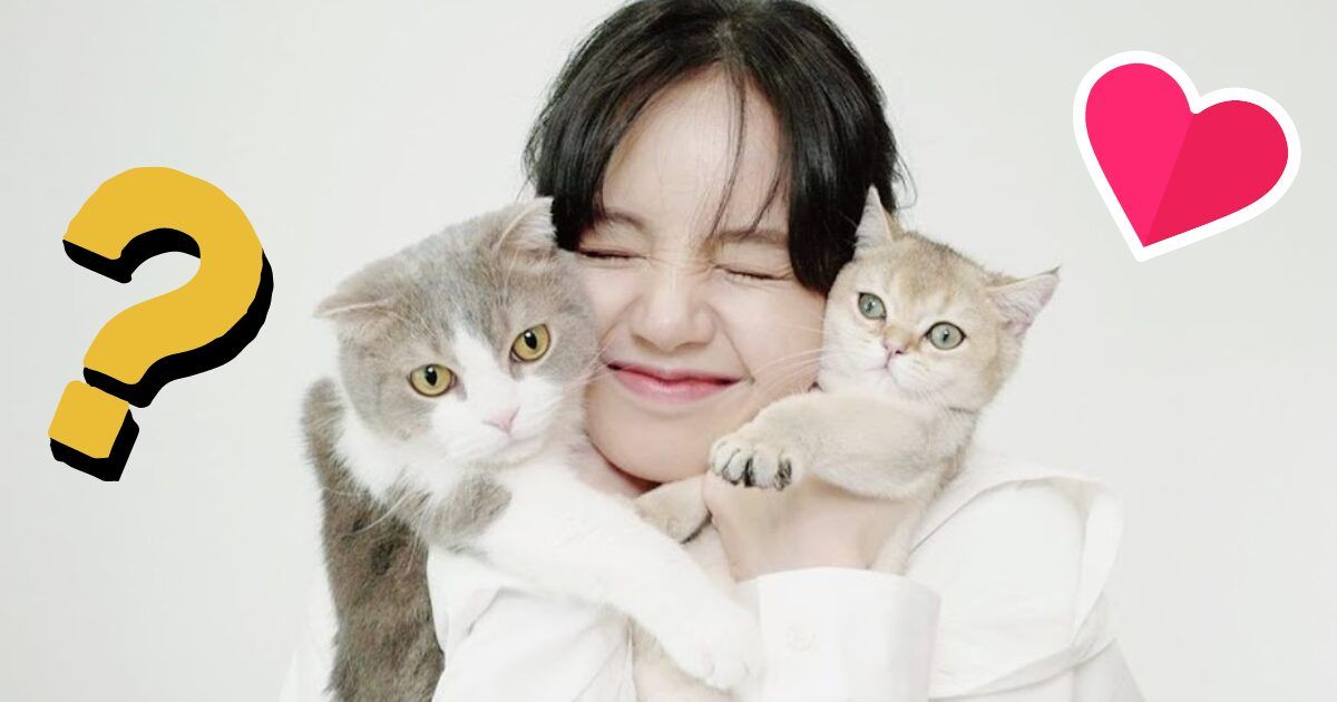 The Unseen Ways BLACKPINK Lisa's Beloved Cats And Dog Affect Her Daily ...