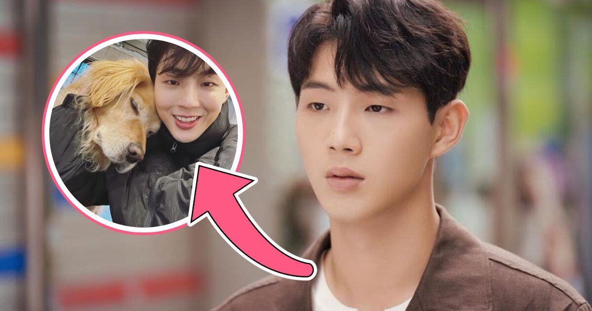 Where Is Actor Ji Soo Now? - Koreaboo