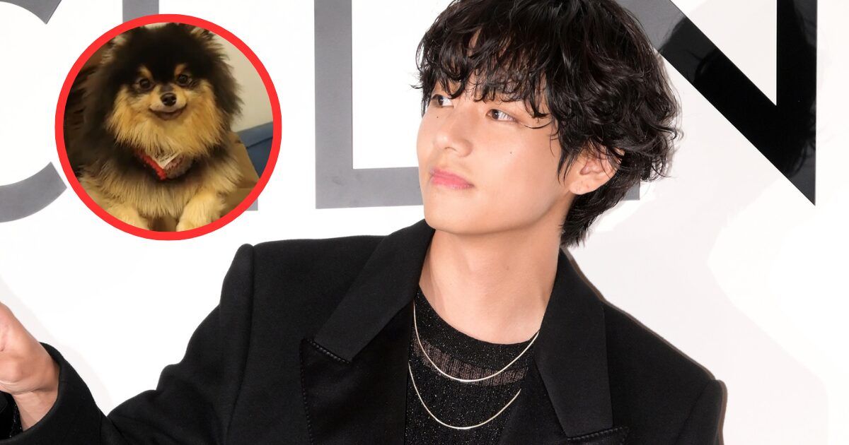 Why Yeontan Was Destined To Meet The Best Dog Dad Around — BTS's V ...