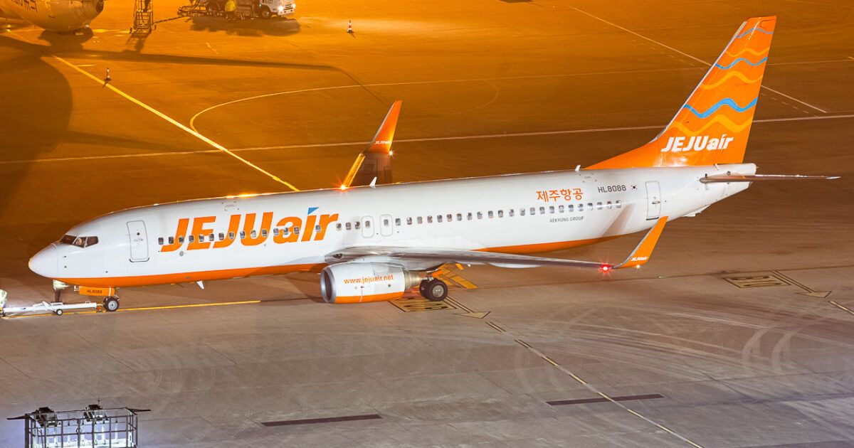 Fact Check: Did The Jeju Air Plane Make A Mechanical Emergency Landing ...