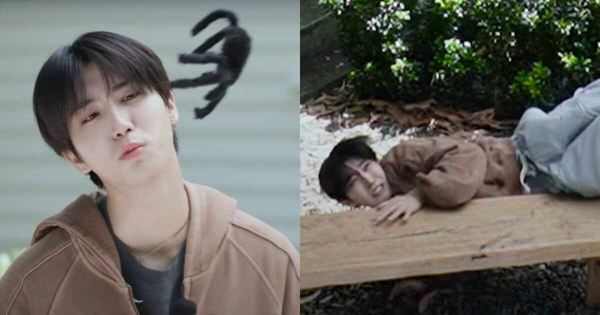 Stray Kids Han’s Reaction To A Spider Is Absolutely Priceless - Koreaboo