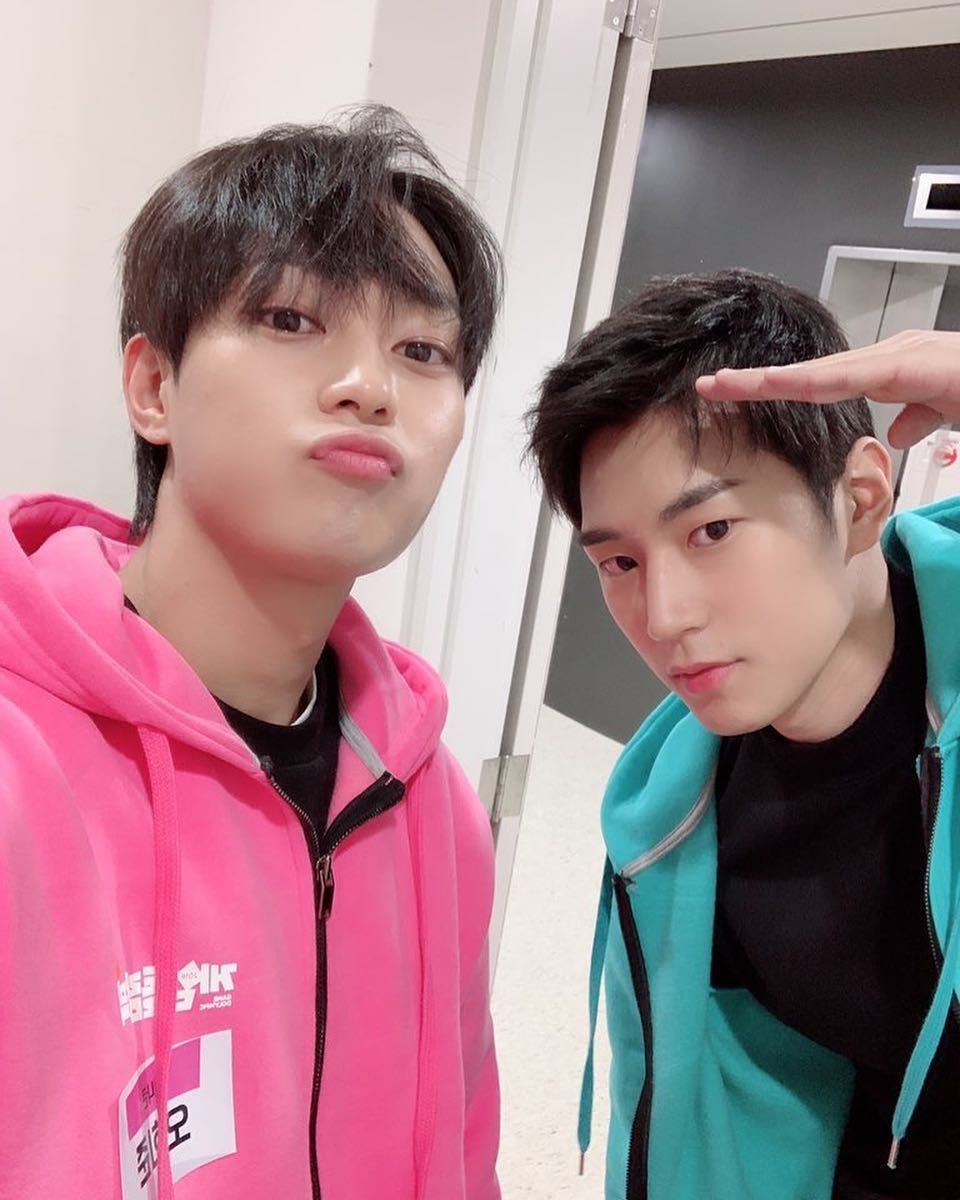 Comparing The Height Differences Between The Shortest And Tallest ...