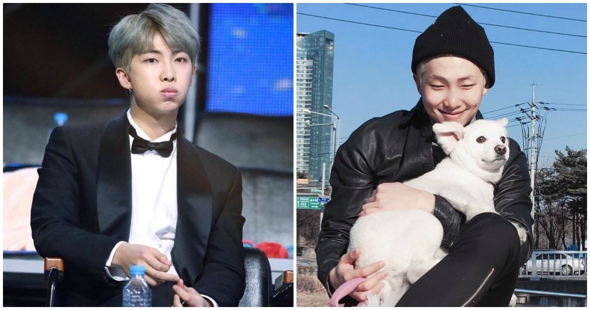 BTS’s RM Once Revealed That Walks With His Dog Rap Mon Often End in ...