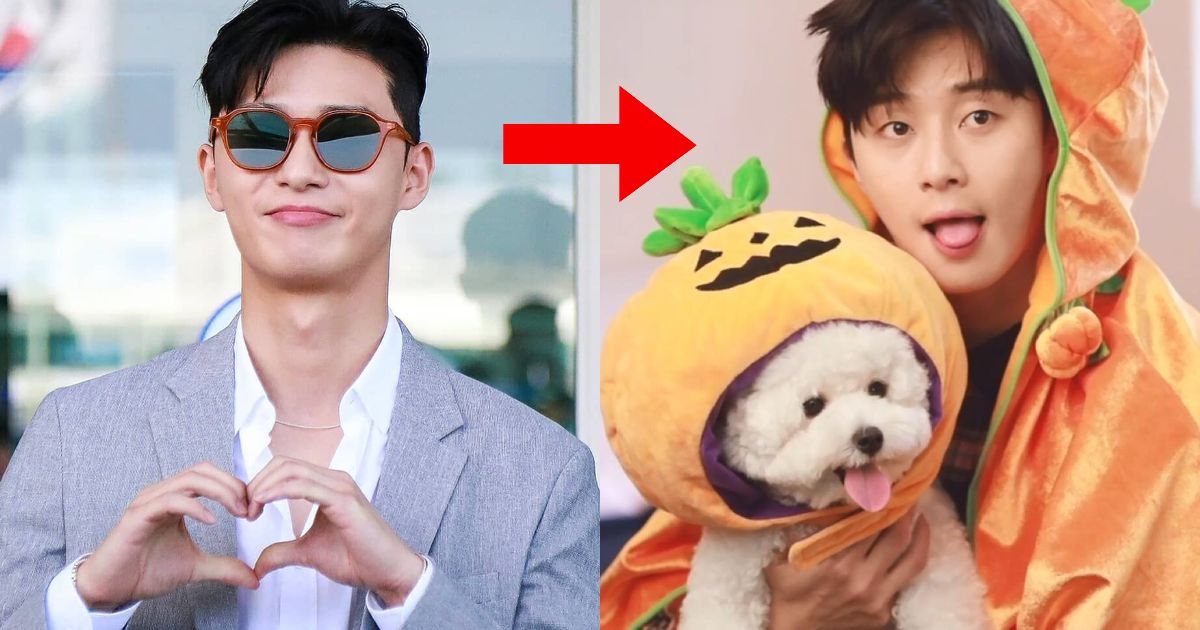 15+ Pictures Of Park Seo Joon And His Adorable Dog To Brighten Up Your ...