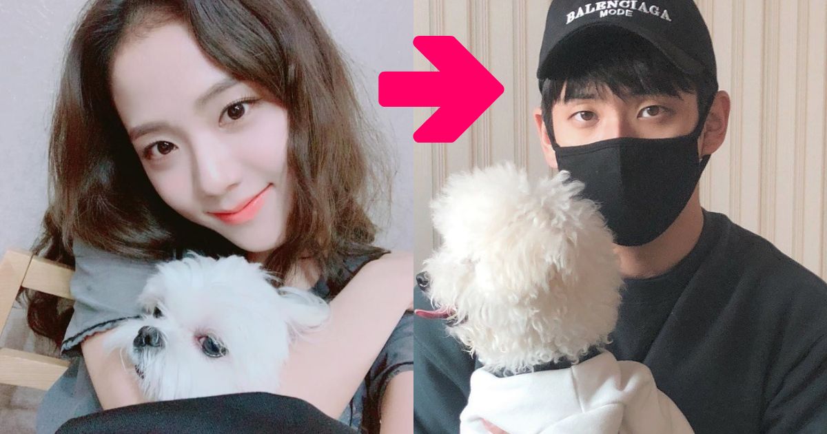 12+ Photos Of BLACKPINK Jisoo's Siblings That Will Make You Scream ...