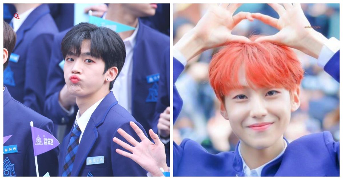 X1 Just Released Their Official Fandom Name And Fans Have Mixed ...