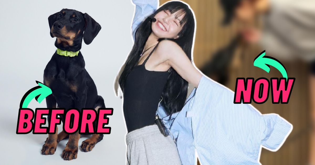 BLACKPINK's Lisa Uploaded New Photos With Her Dog Love, And He's Barely ...