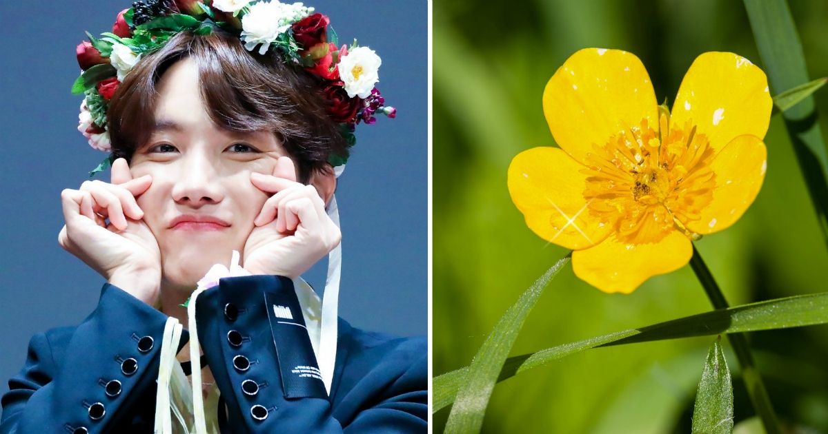 These Are BTS Members' Birth Flowers, And Their Symbolism Will Make You ...