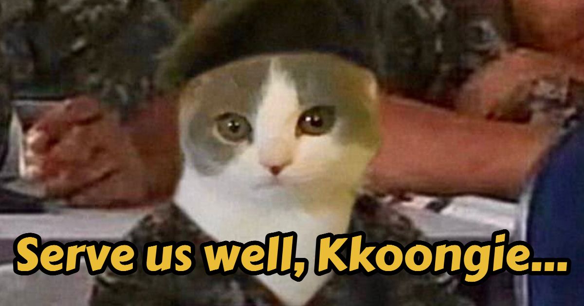 15 Of The Most Hilarious Shawol Memes And Reactions To SHINee Taemin's ...