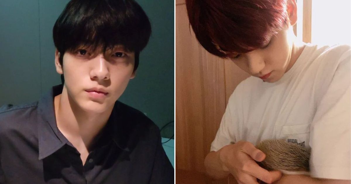 TXT's Soobin Shares Heartbreaking News About His Pet Hedgehog Odi ...