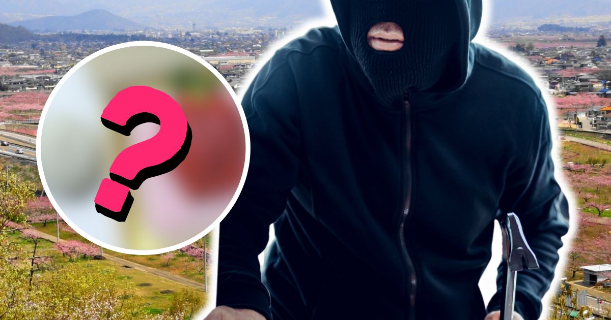 A Rise In Theft: Japanese Robbers Set Their Sights On Unexpected Luxury ...