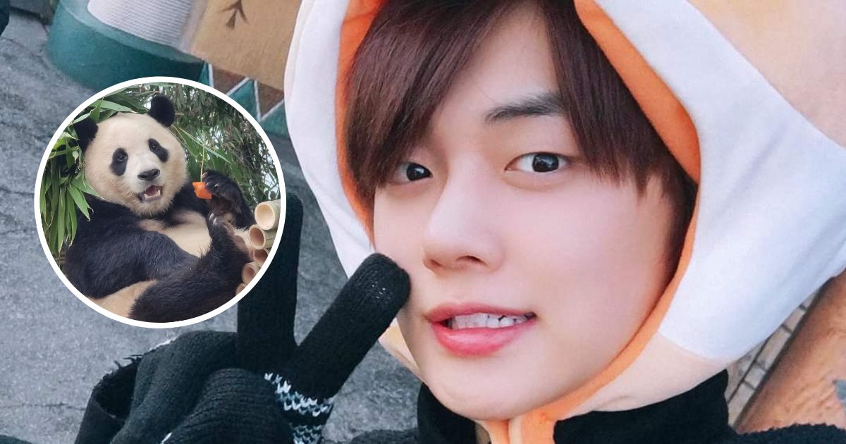 TXT's Yeonjun Exposes Himself As The Biggest Fan...Of A Panda - Koreaboo