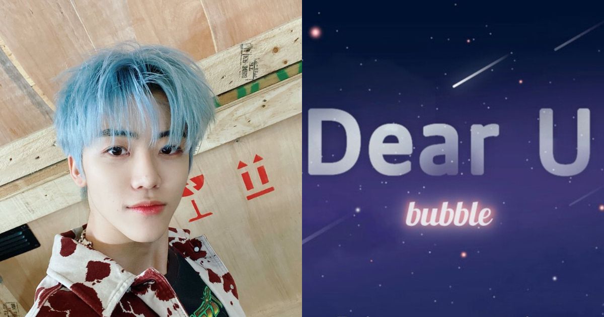 Here’s How Much K-Pop Idols Can Earn From The “Dear. U Bubble” Messaging Service - Koreaboo