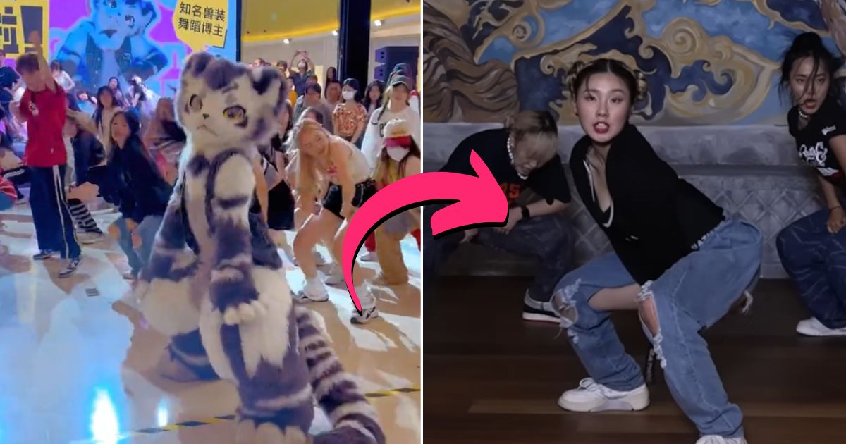 Meet The Sensational "K-Pop Furry" Going Viral With A Jaw-Dropping 2NE1 ...