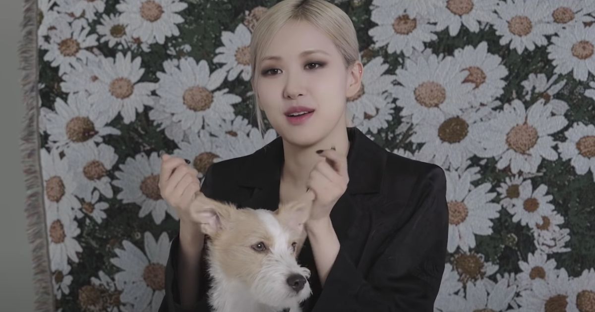 BLACKPINK's Rosé Reveals What It Was Like When She First Met Hank The ...