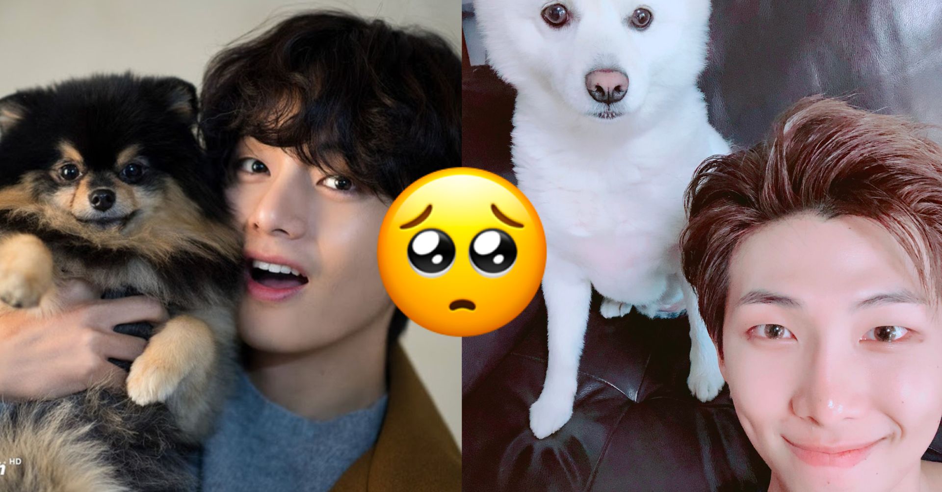 5 Times BTS Looked Just Like Their Pets - Koreaboo