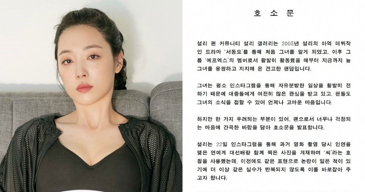 Sulli's Fans "Appeal" For Her To Be More Respectful But Sulli Shuts ...