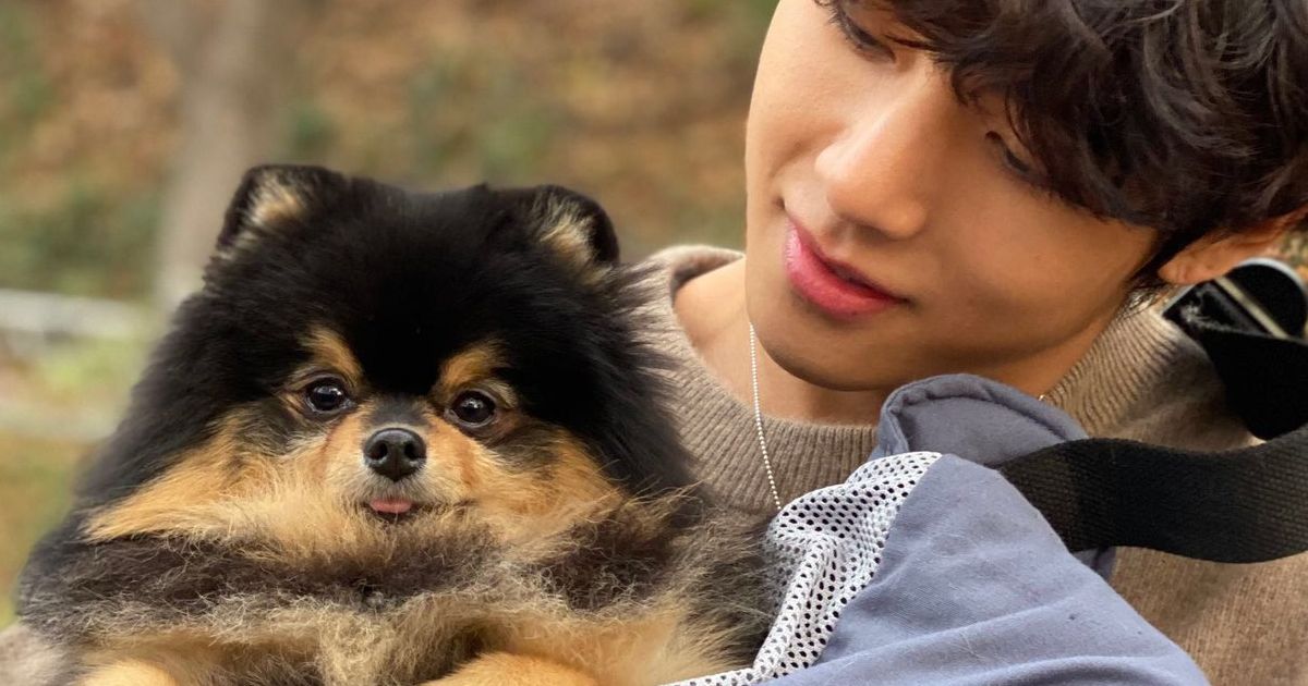 These Photos Of Tannie Chilling In A Bag Will Make You Squeal - Koreaboo