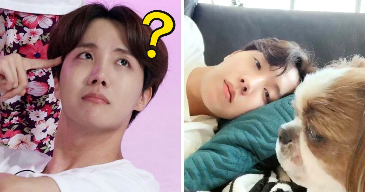 BTS J-Hope's Dog Mickey Has A New Favorite...And It's Not Him Or His ...