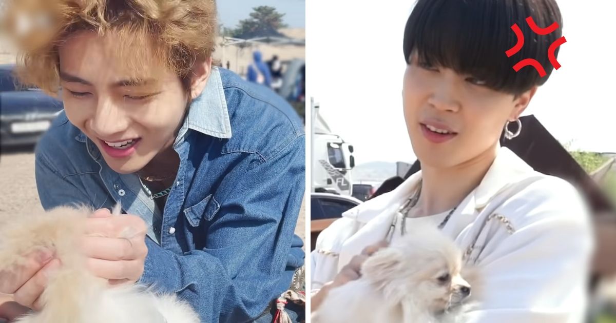 The BTS Members Meet With Animals On Set And Their Reactions Are ...