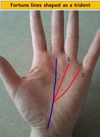 According To Koreans You'll Become Rich If Your Hand Looks Like This ...