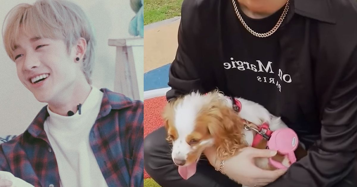 Bang Chan With His Puppy Will Make You Laugh And Melt At The Same Time ...