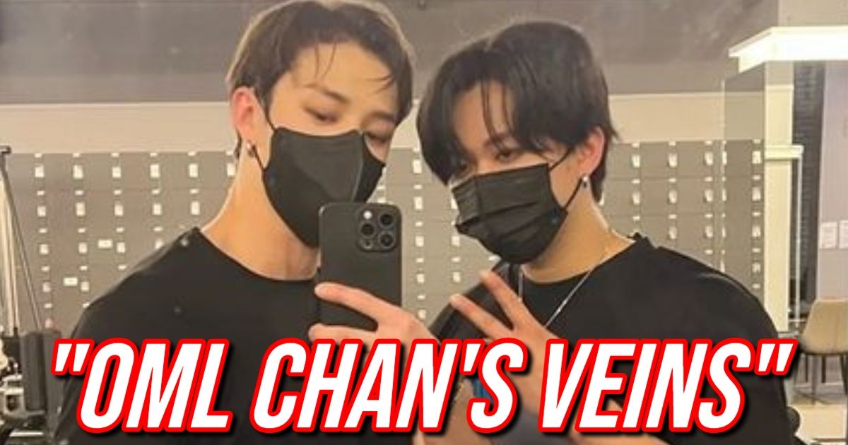 Stray Kids' Bang Chan & Changbin Have STAYs Going Wild On Social Media ...