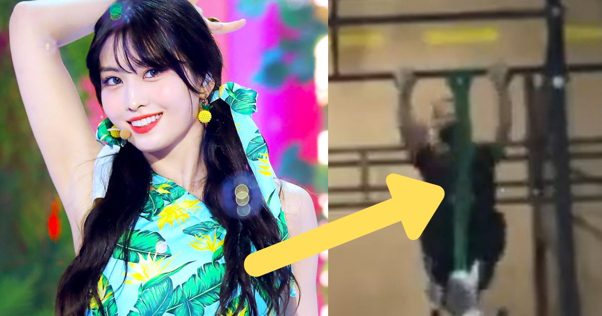 TWICE's Momo Once Again Goes Viral For Her Insane Workout Routine And ...