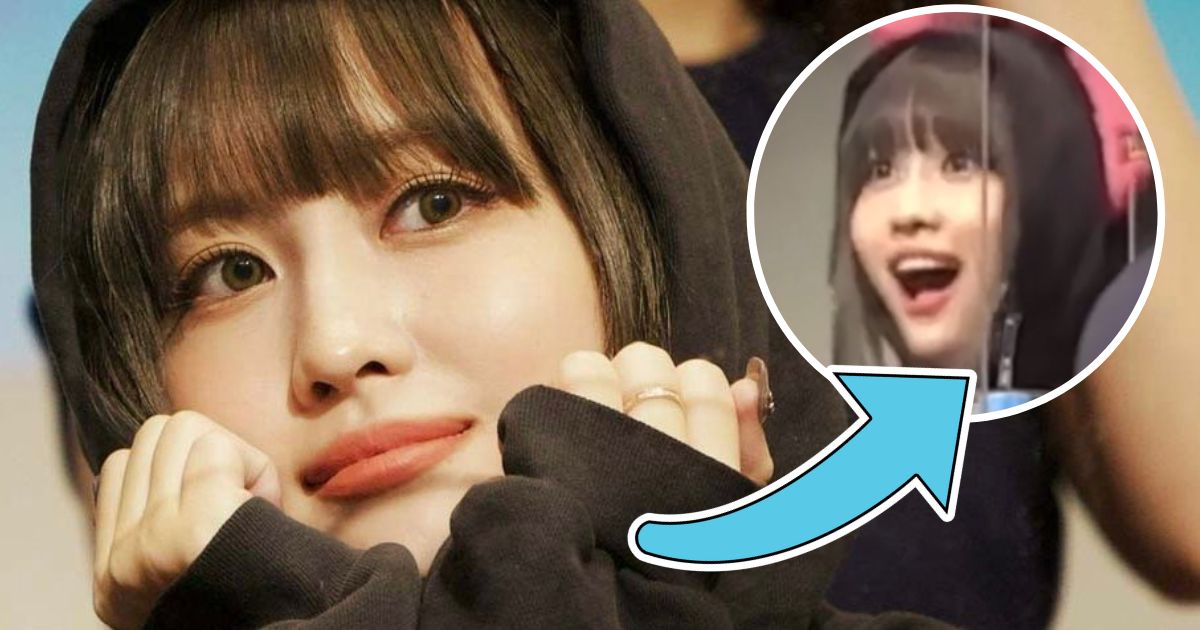 TWICE's Mina, Momo, And Sana Become Starstruck By The Same Fan At The ...