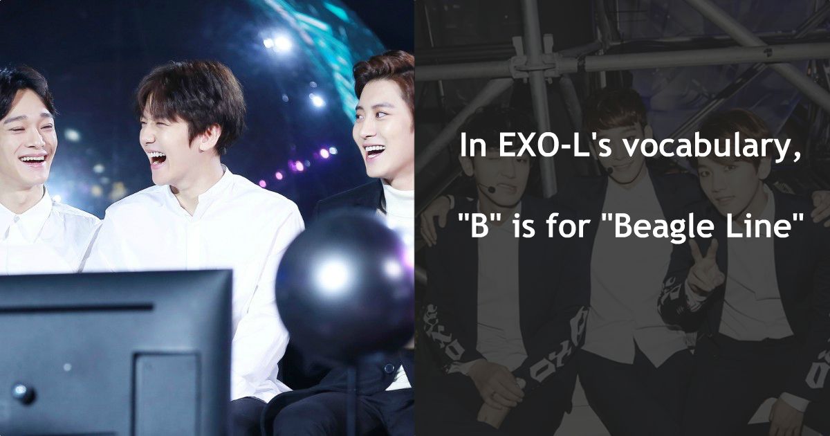 13 Words And Phrases Every EXO-L Should Know - Koreaboo
