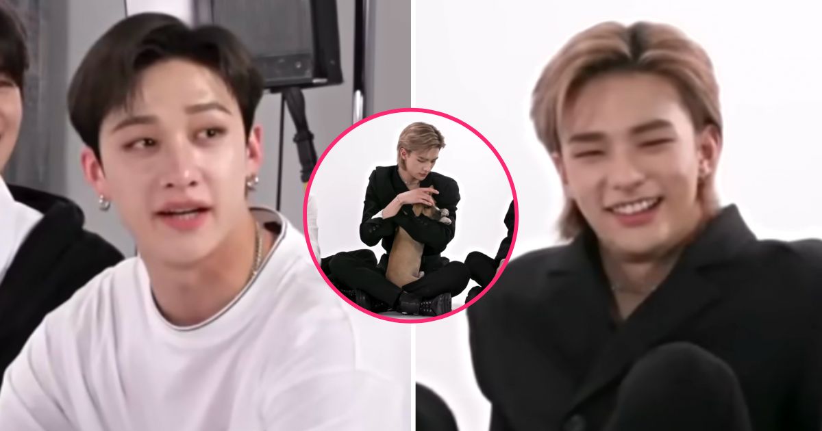 10+ Must-See Moments From Stray Kids’ BuzzFeed Puppy Interview That ...