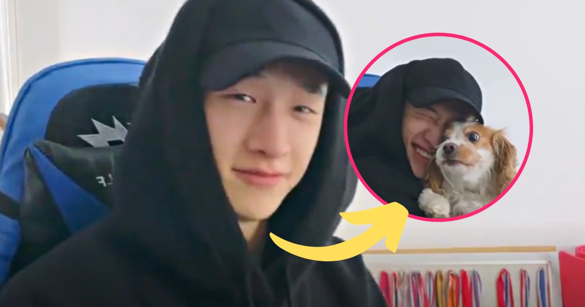 Stray Kids’ Bang Chan Has STAYs Feeling Weak After Bringing His Dog ...