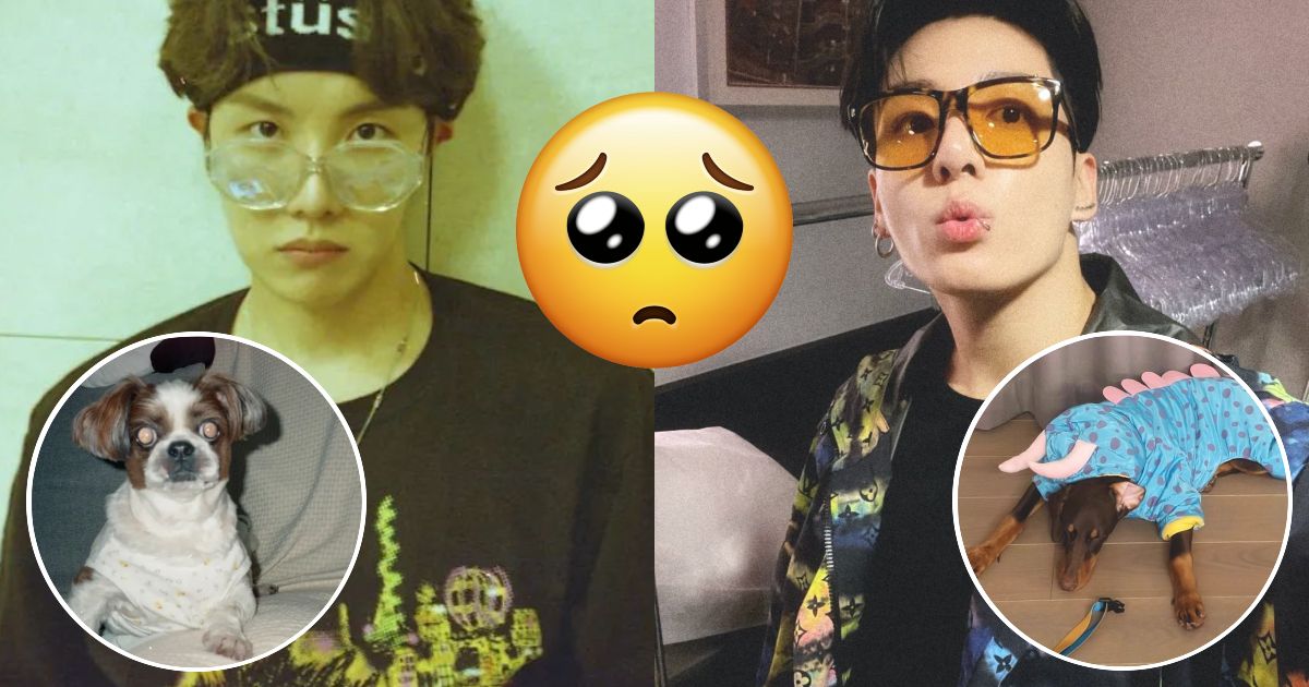 All Of BTS's Dogs Have Finally Made Their Instagram Debut - Koreaboo