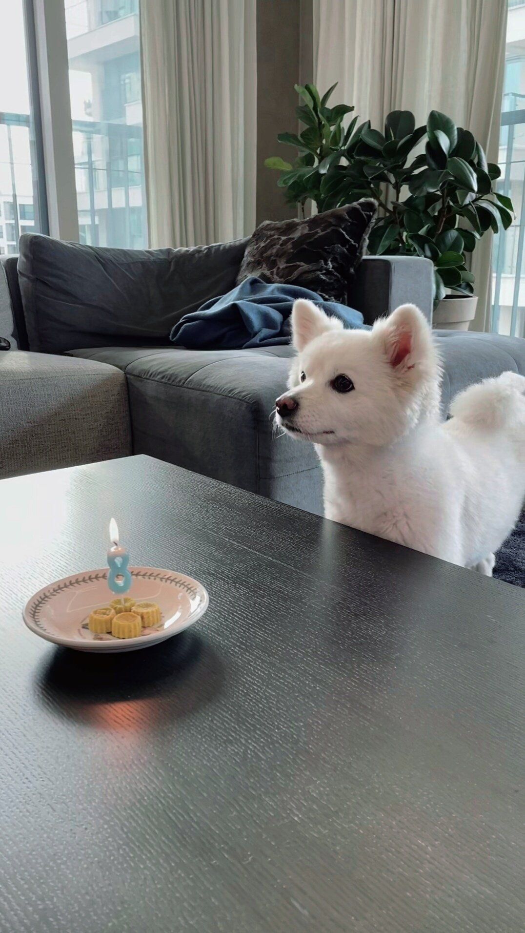 Monie Trends Worldwide As BTS's RM And ARMYs Celebrate His Birthday ...