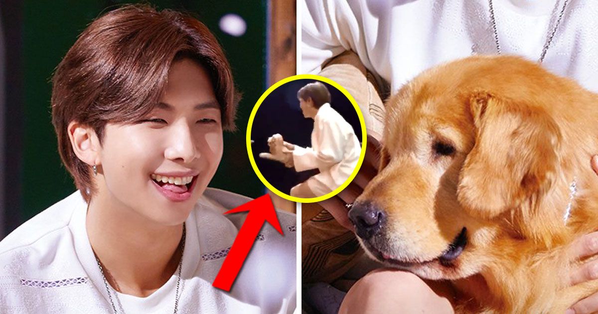 BTS's RM Gave A Gift To His Fur-Friend...And It Didn't Go Well