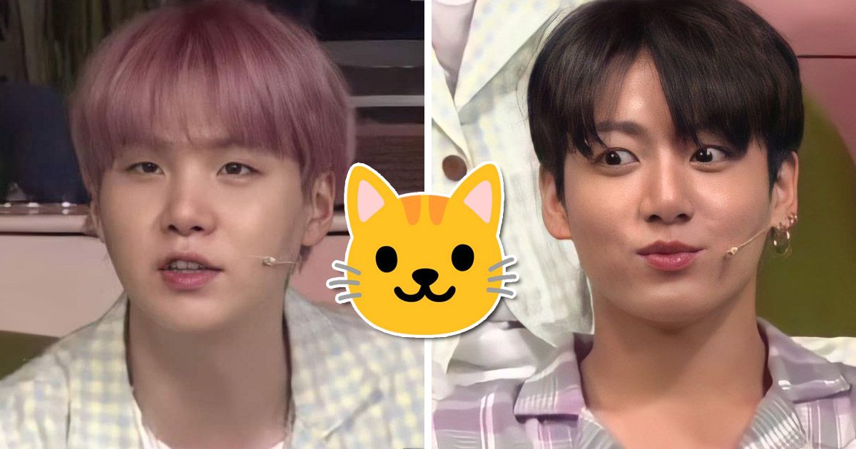 BTS Falls In Love With An ARMY's Cat...But The Cat Wants None Of It ...